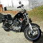 1984 XLX 61(1000cc) HARLEY-DAVIDSON IRONHEAD SPORTSTER-LOW MILE ...