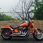 2008 Harley Davidson CVO Screamin Eagle Springer Softail.110 C.I. w ...