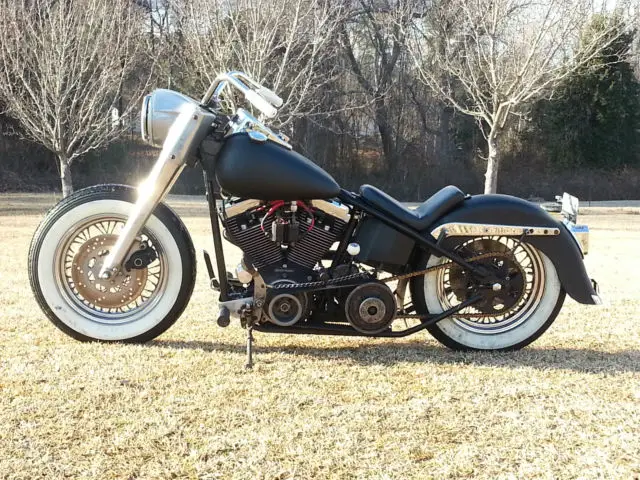 Harley Davidson evolution custom