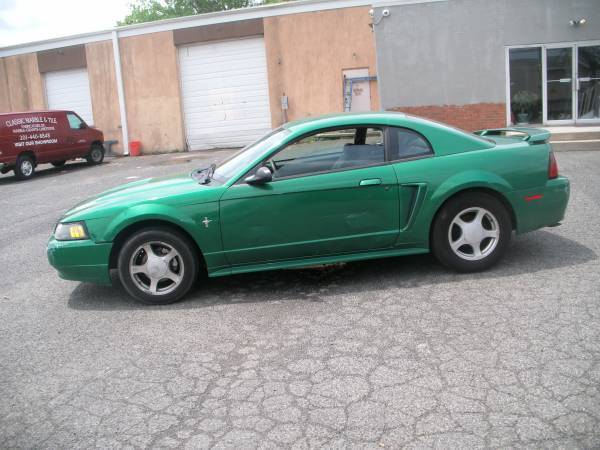 KNOCK OUT 02 MUSTANG