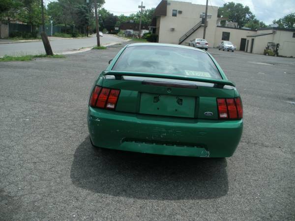KNOCK OUT 02 MUSTANG