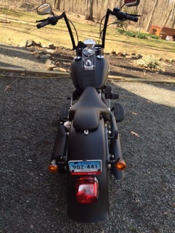 Paul Jr Design Custom Fatboy